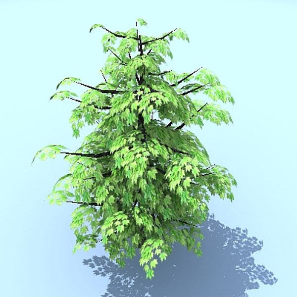 3d tree