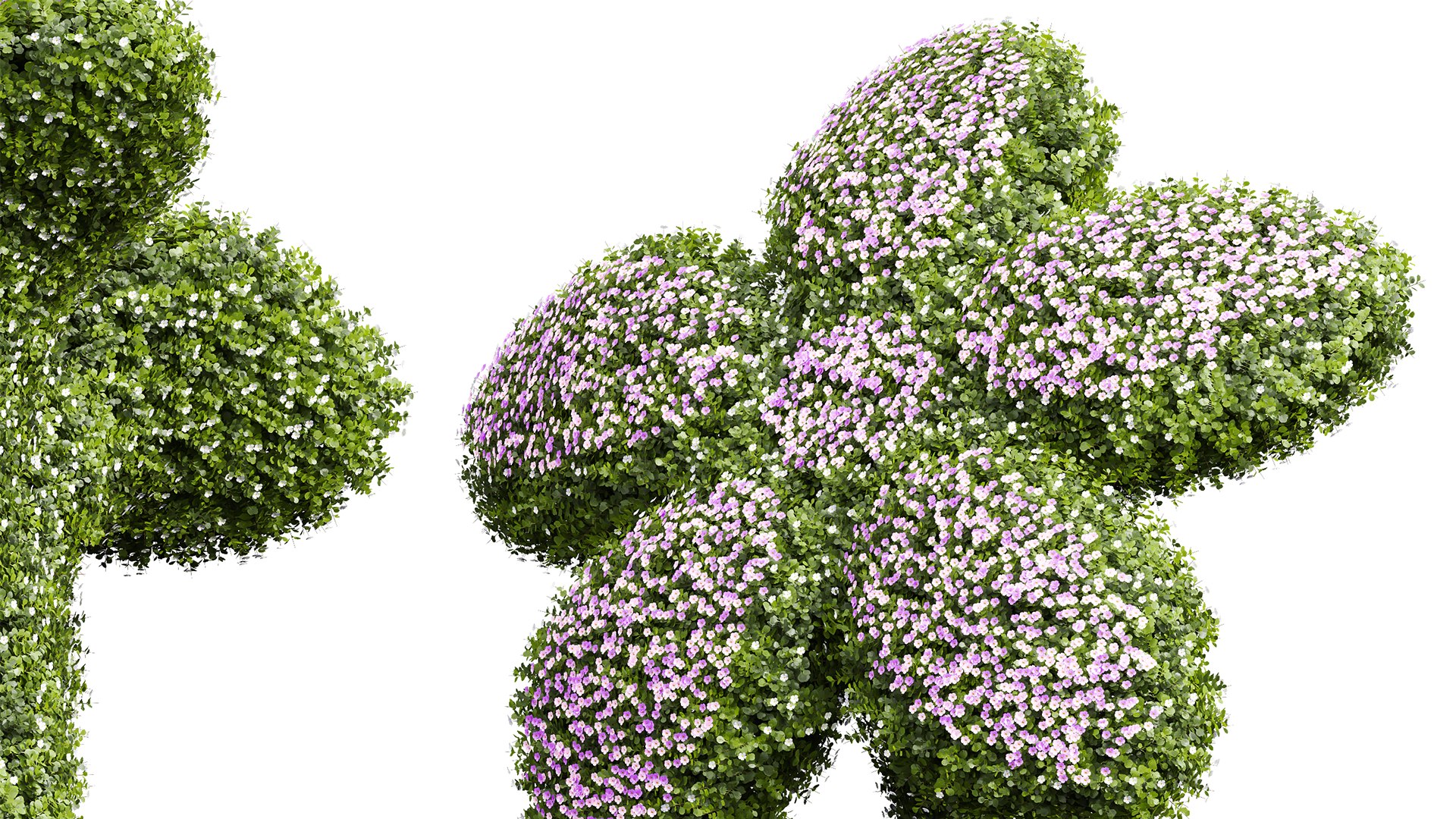 New Plant Bacopa Diffusa Sutera Decorative 3D Model - TurboSquid 2186788