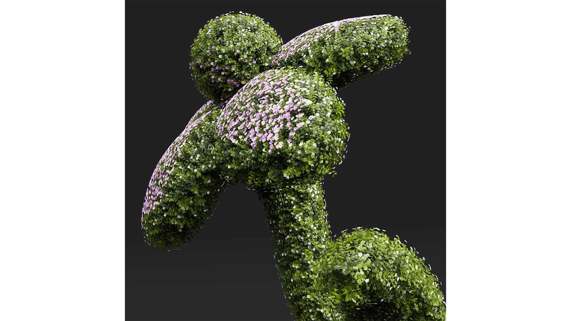 New Plant Bacopa Diffusa Sutera Decorative 3D Model - TurboSquid 2186788