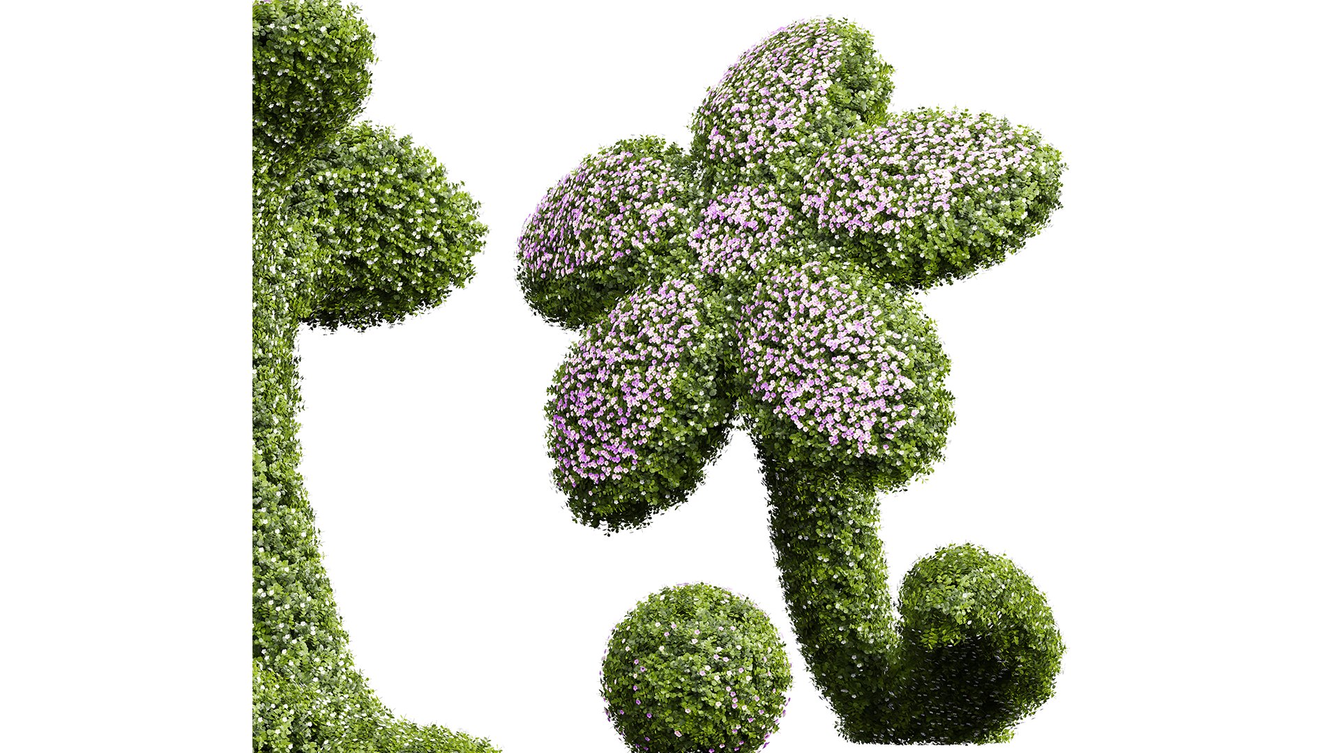 New Plant Bacopa Diffusa Sutera Decorative 3D Model - TurboSquid 2186788