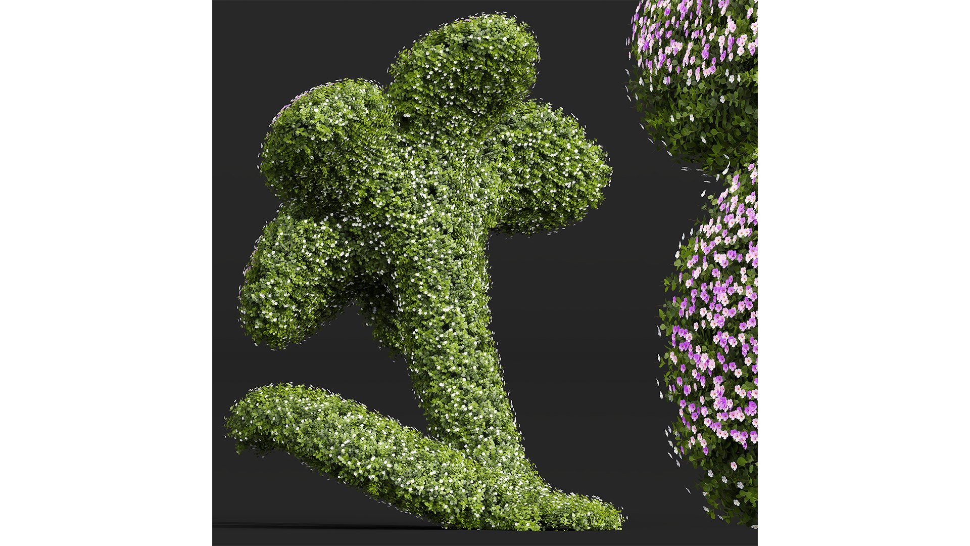 New Plant Bacopa Diffusa Sutera Decorative 3D Model - TurboSquid 2186788