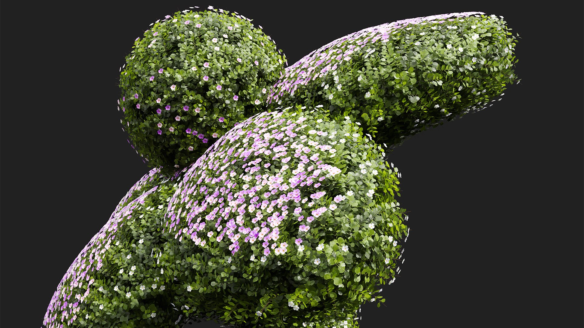 New Plant Bacopa Diffusa Sutera Decorative 3D Model - TurboSquid 2186788