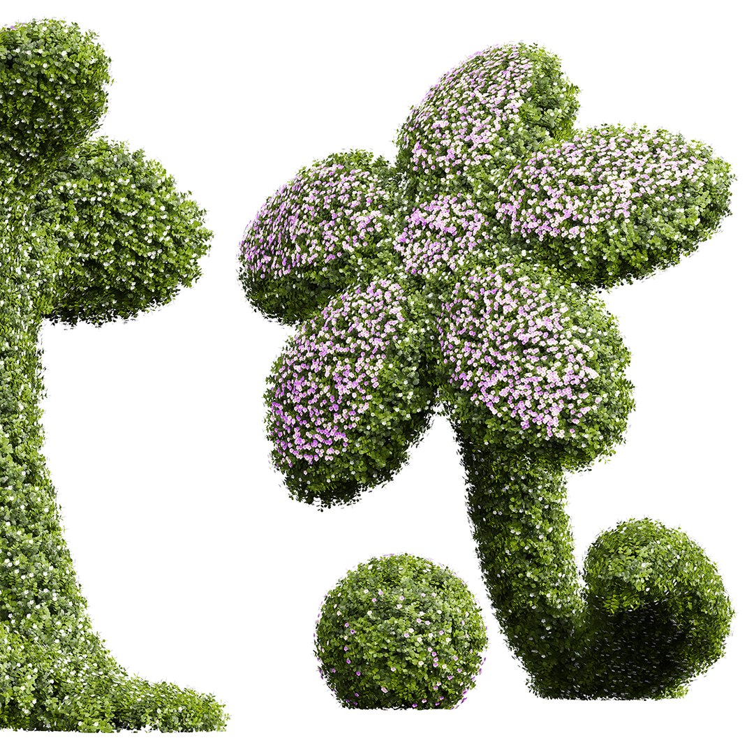 New Plant Bacopa Diffusa Sutera Decorative 3D Model - TurboSquid 2186788