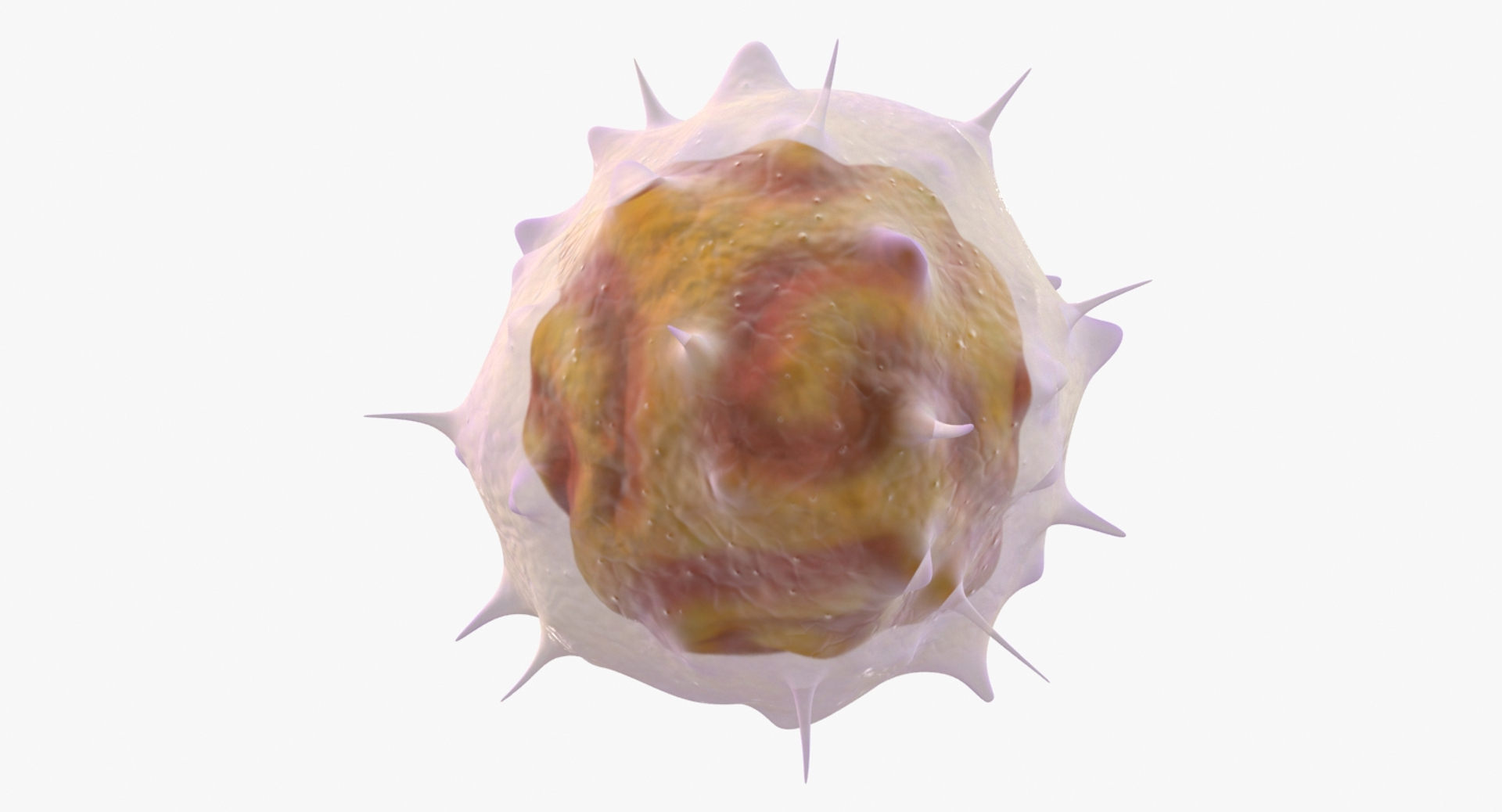 3D white blood cell lymphocytes - TurboSquid 1327133