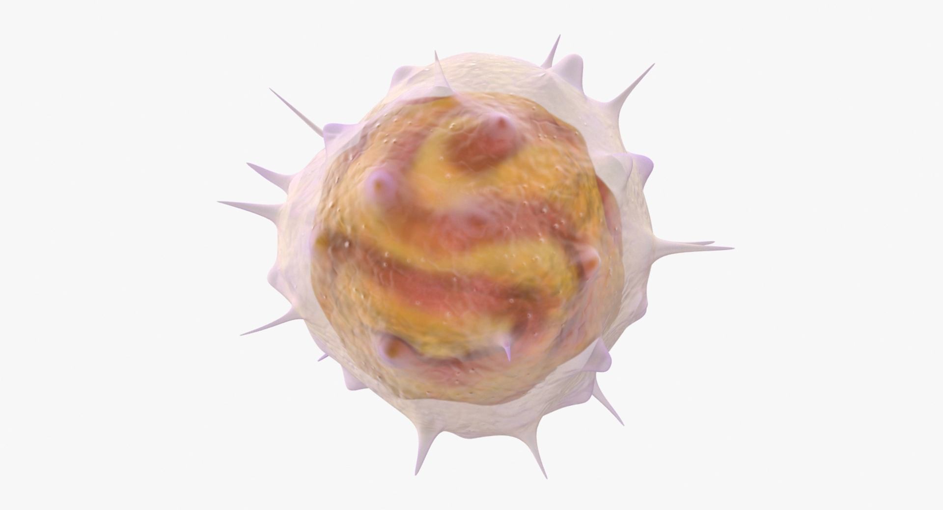 3D white blood cell lymphocytes - TurboSquid 1327133