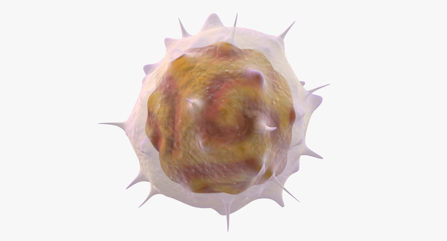3D white blood cell lymphocytes - TurboSquid 1327133