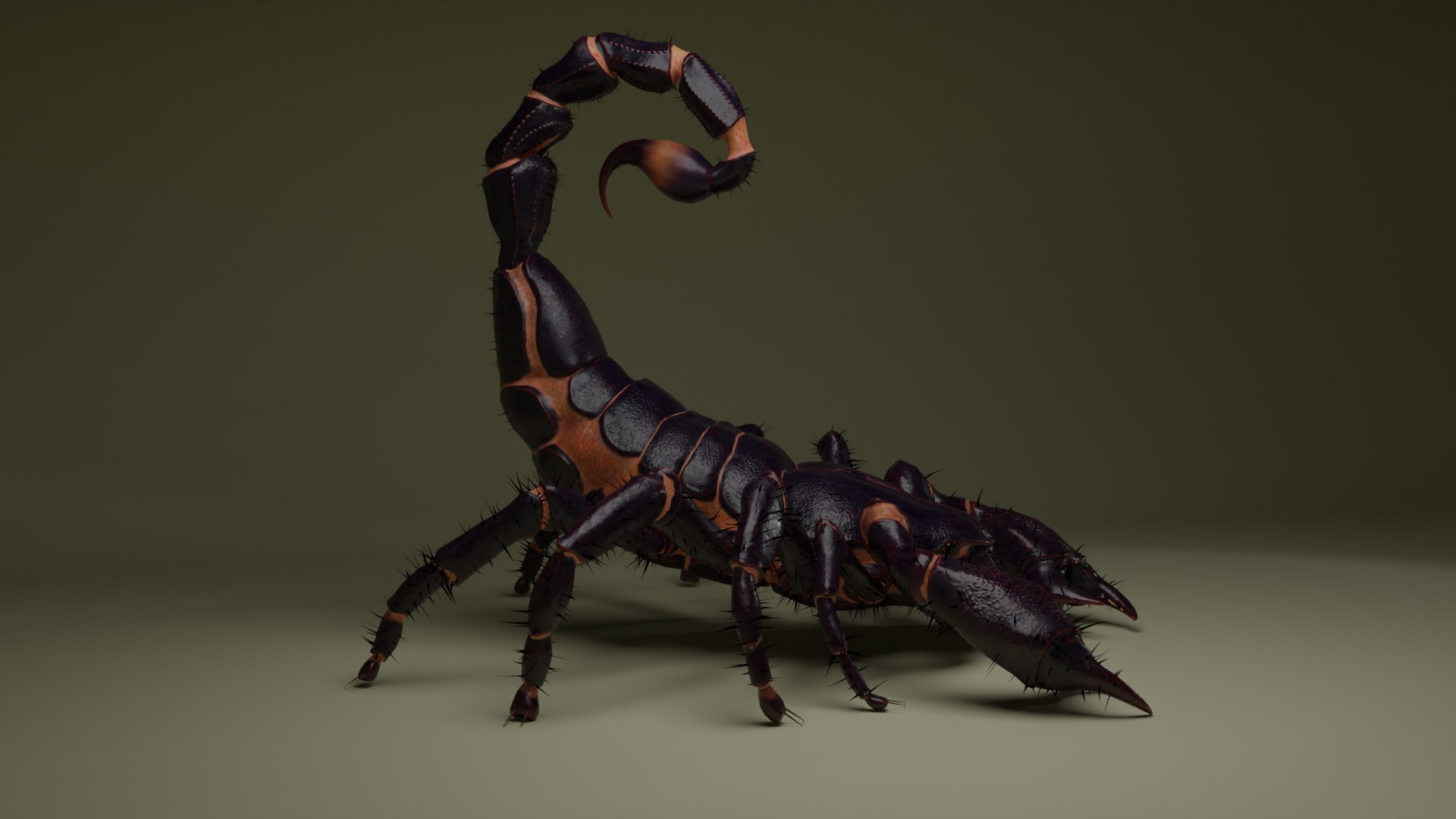 3D Scorpion - TurboSquid 1979767