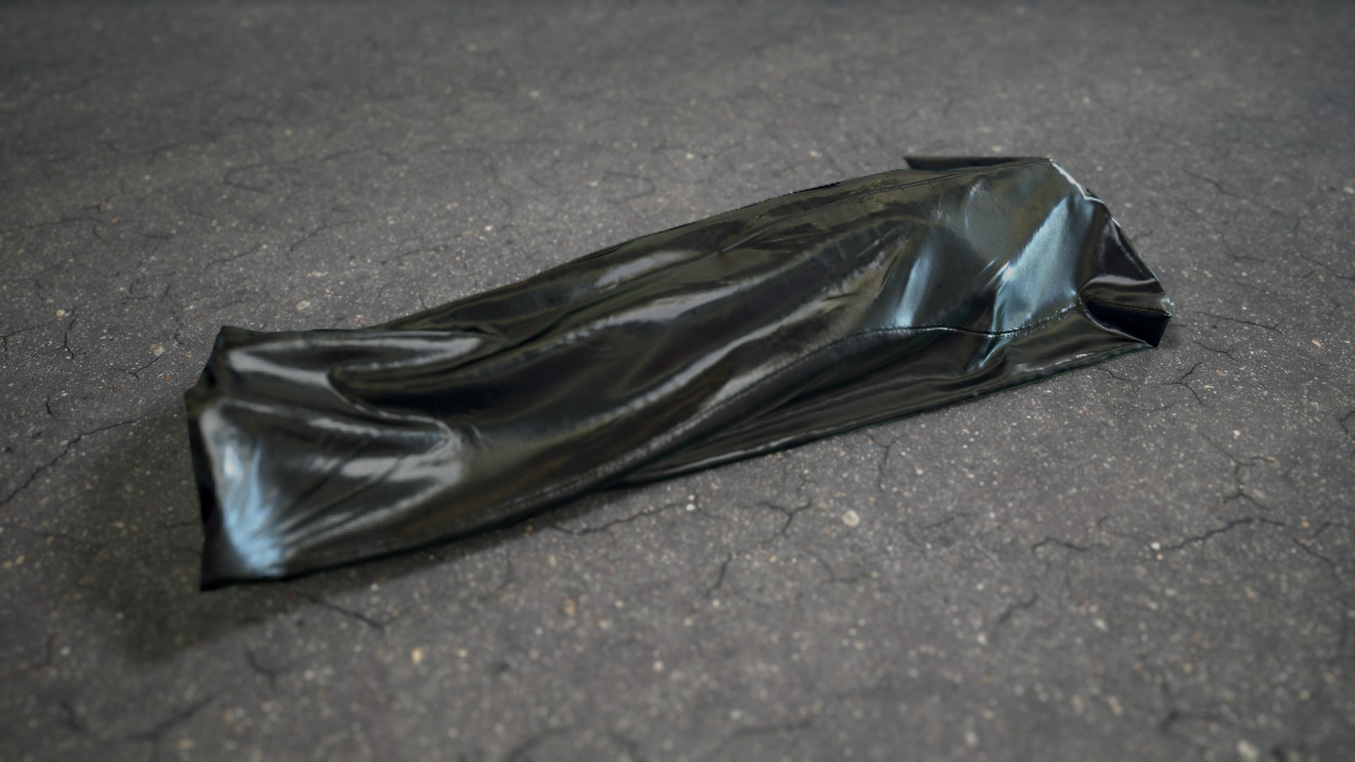 3D Bodybag Bag Body Model - TurboSquid 1383351