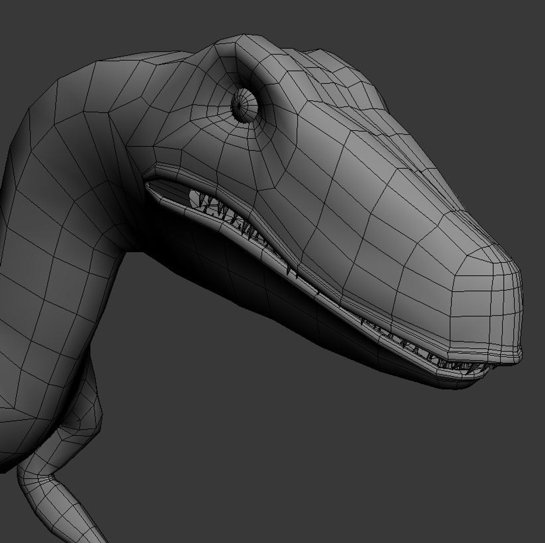 3D Model Velociraptor Raptor - TurboSquid 1235459
