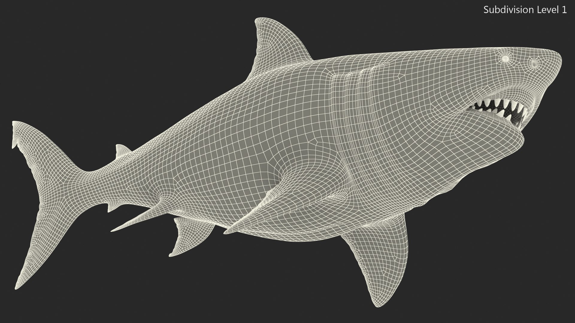 Ancient Megashark Rigged for Cinema 4D 3D - TurboSquid 1861945