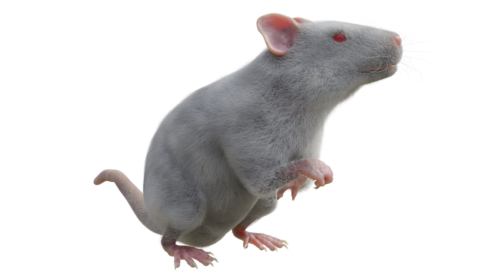 3D RET FOR VFX CGI - TurboSquid 2237374