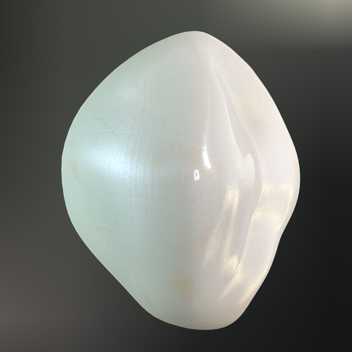 tooth upper canine 3d max