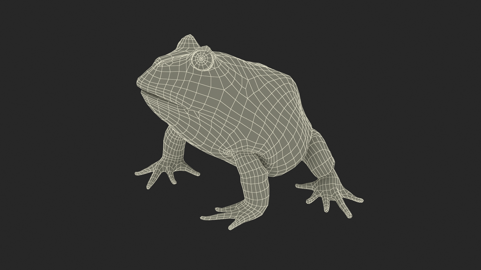 Realistic Horned Toad Rigged For Maya 3D Model - TurboSquid 2348901