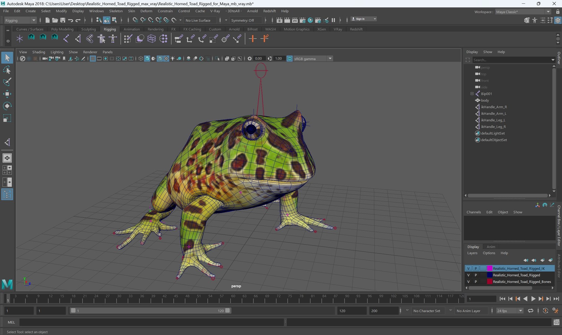 Realistic Horned Toad Rigged For Maya 3D Model - TurboSquid 2348901