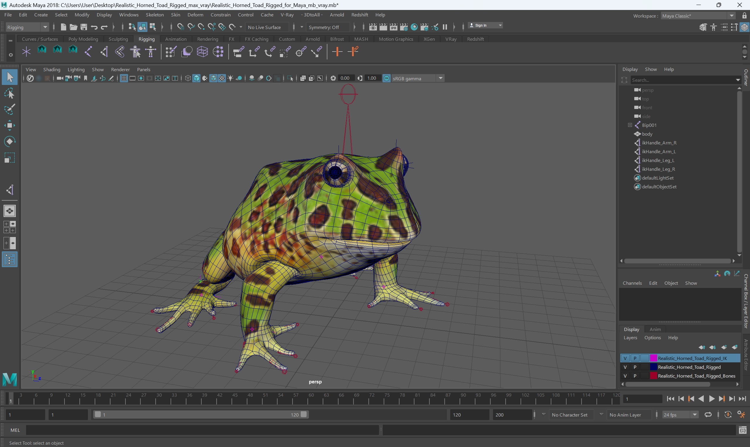 modelo 3d Sapo cornudo realista preparado para Maya - TurboSquid 2348901