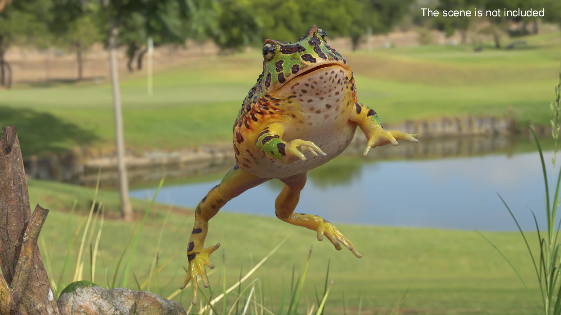 Realistic Horned Toad Rigged For Maya 3D Model - TurboSquid 2348901