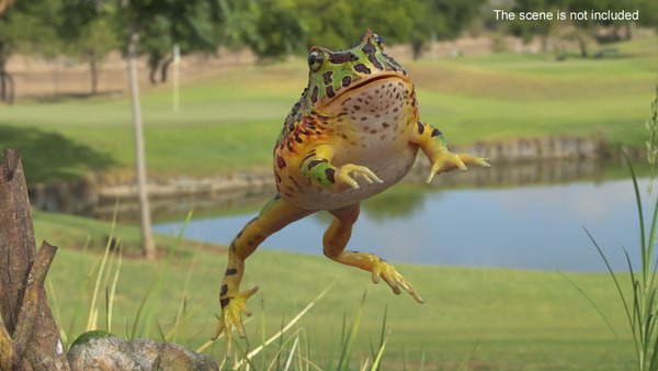 modelo 3d Sapo cornudo realista preparado para Maya - TurboSquid 2348901