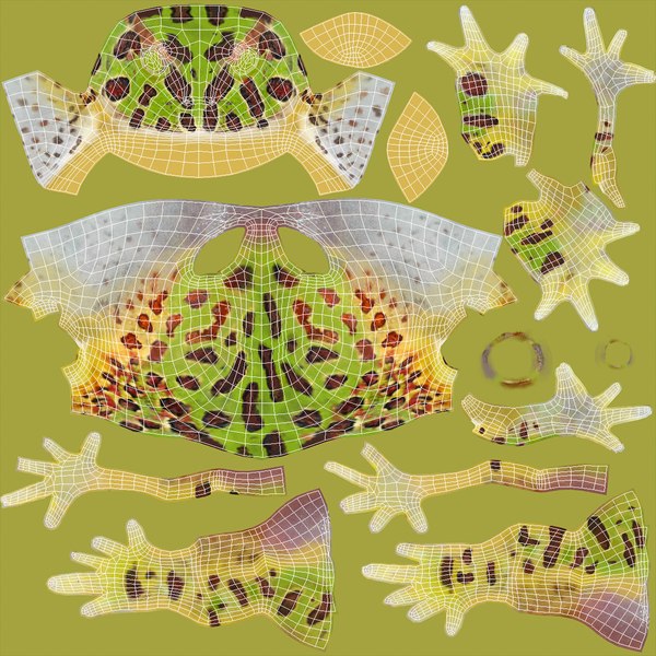 modelo 3d Sapo cornudo realista preparado para Maya - TurboSquid 2348901