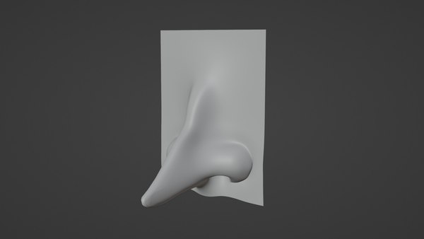 modelo 3d Paquete de nariz estilizada - TurboSquid 2158376