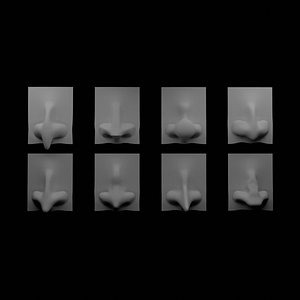 Free 3D Anatomy Nose Models - Available For Download On TurboSquid
