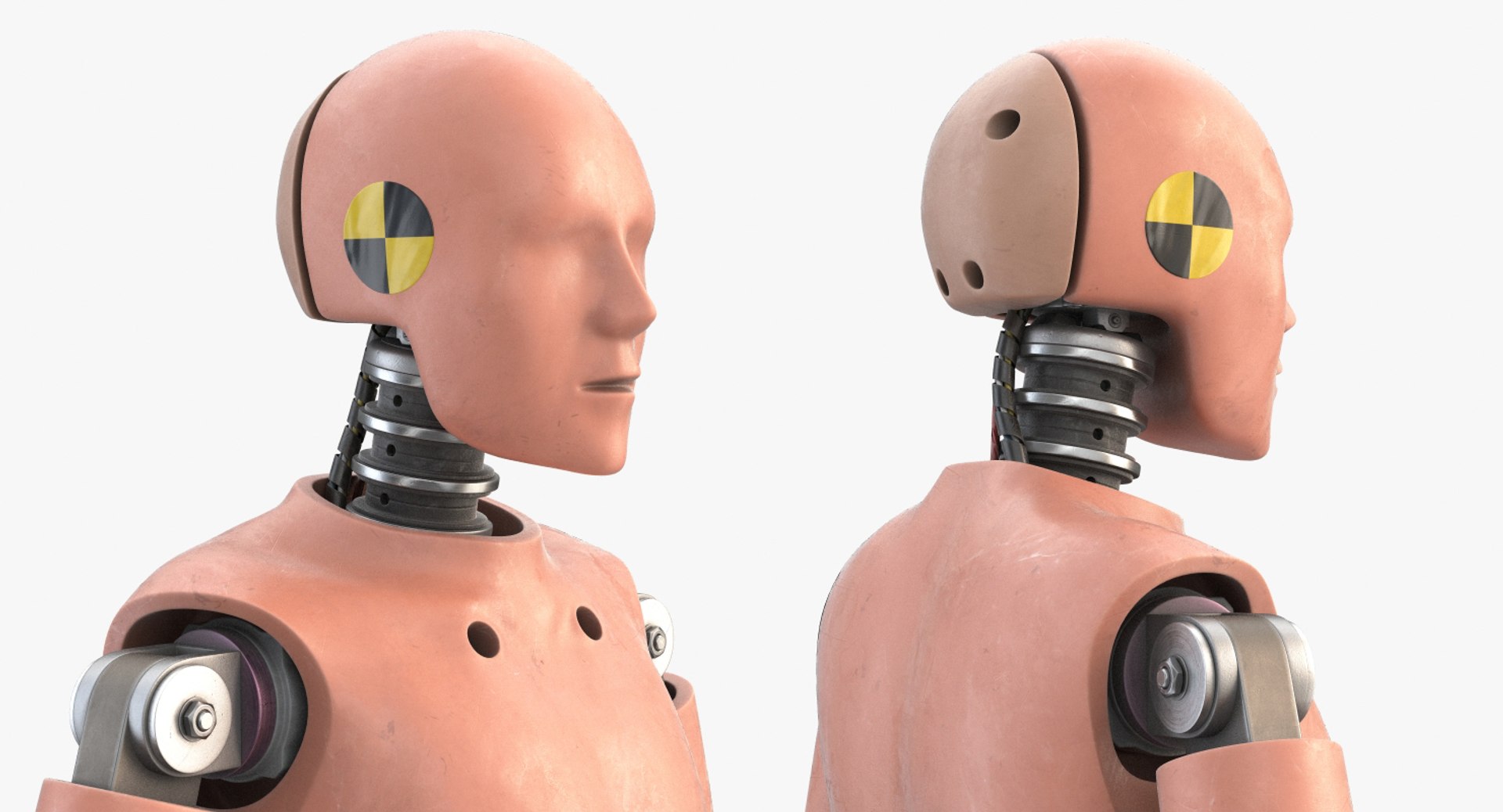 Crash Test Dummy Rigged Character Model - TurboSquid 1432468