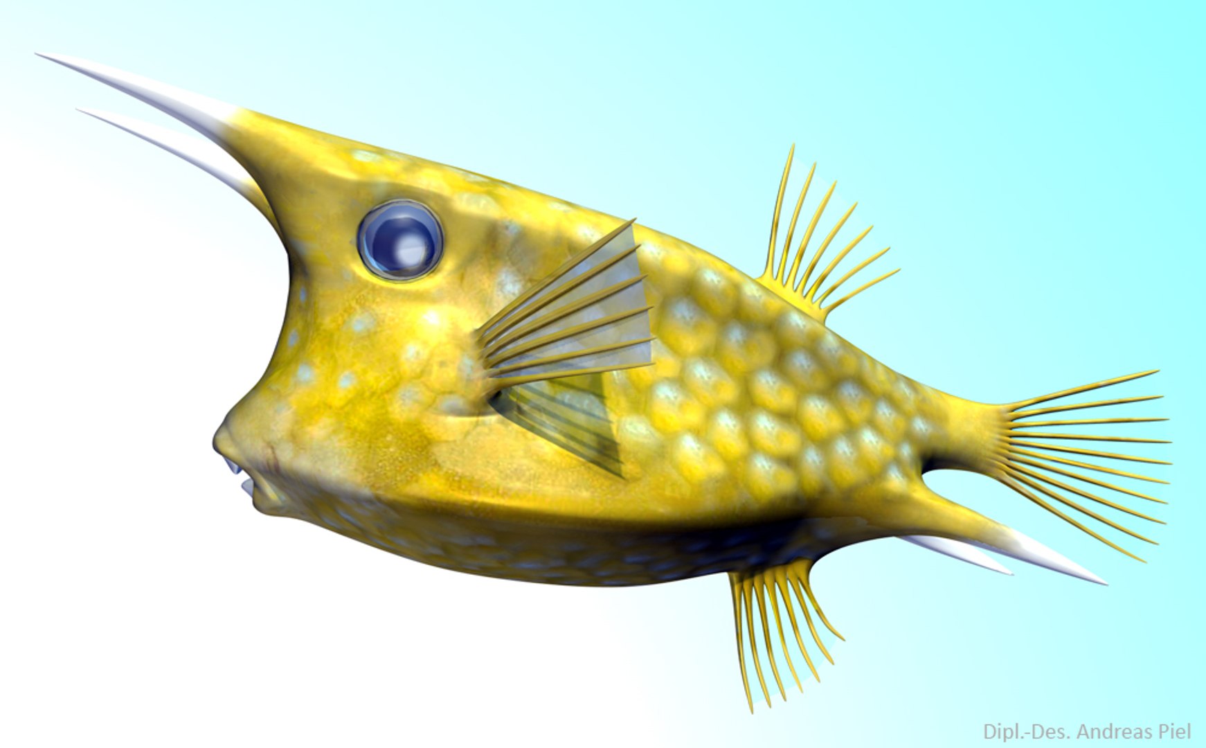 3d model of longhorn cowfish fishes