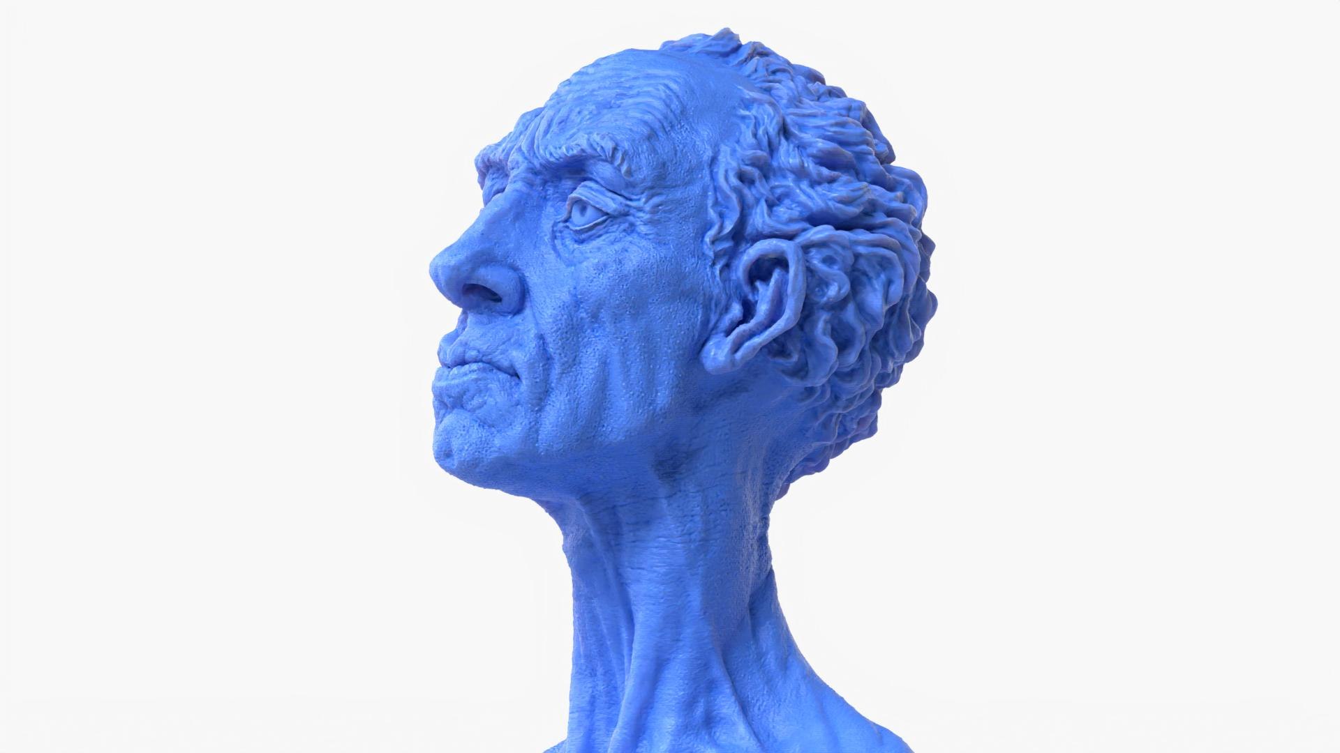 Practice Bust Sculpture 3D Model - TurboSquid 2416155