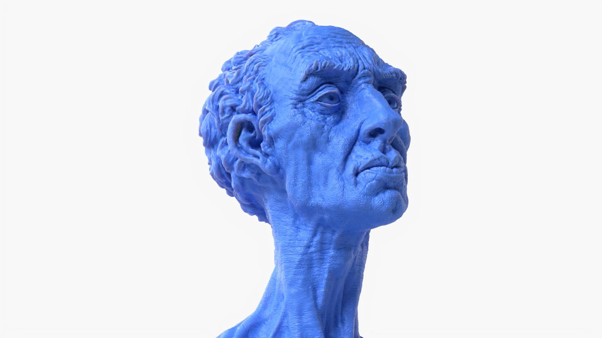 Practice Bust Sculpture 3D Model - TurboSquid 2416155