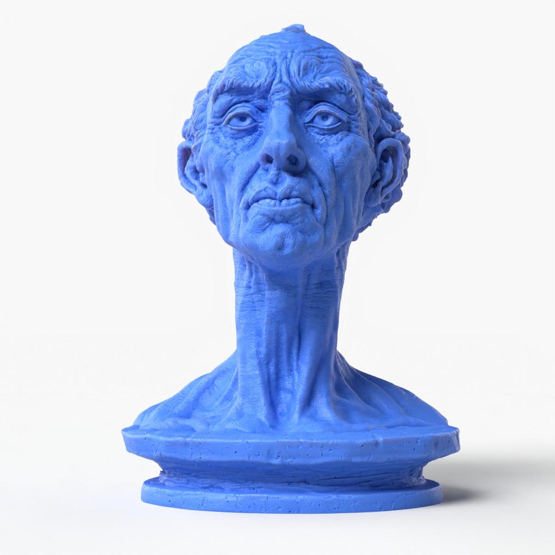 Practice Bust Sculpture 3D Model - TurboSquid 2416155