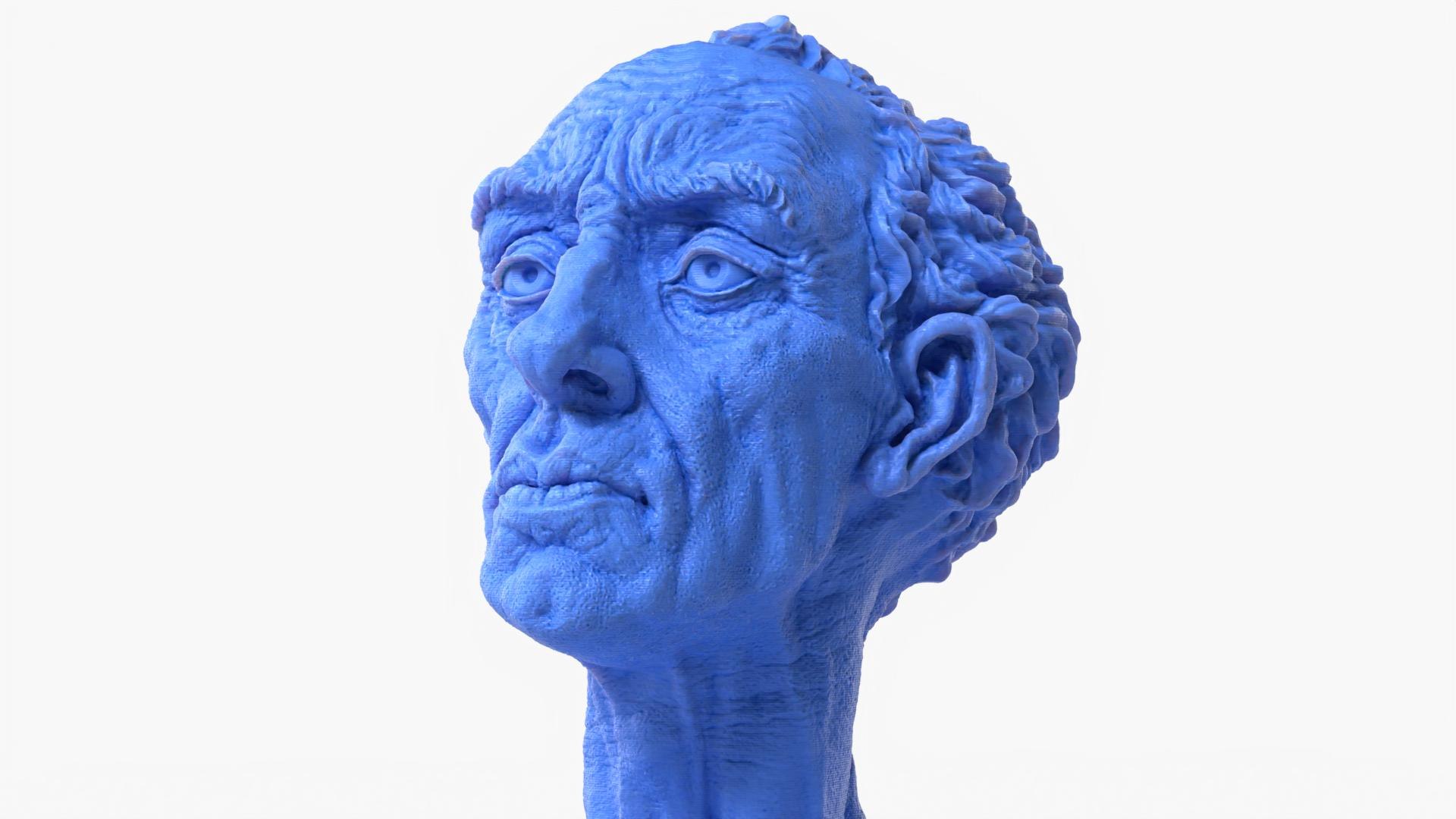 Practice Bust Sculpture 3D Model - TurboSquid 2416155