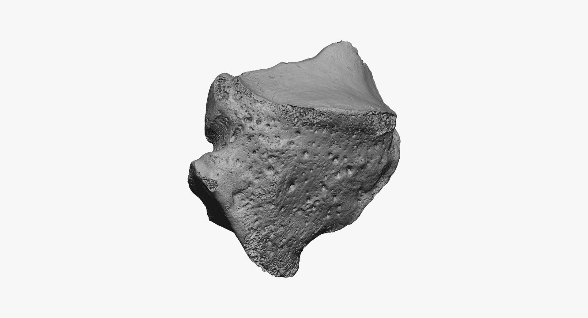 Cuboid Bone 01 Raw Model - TurboSquid 1550264