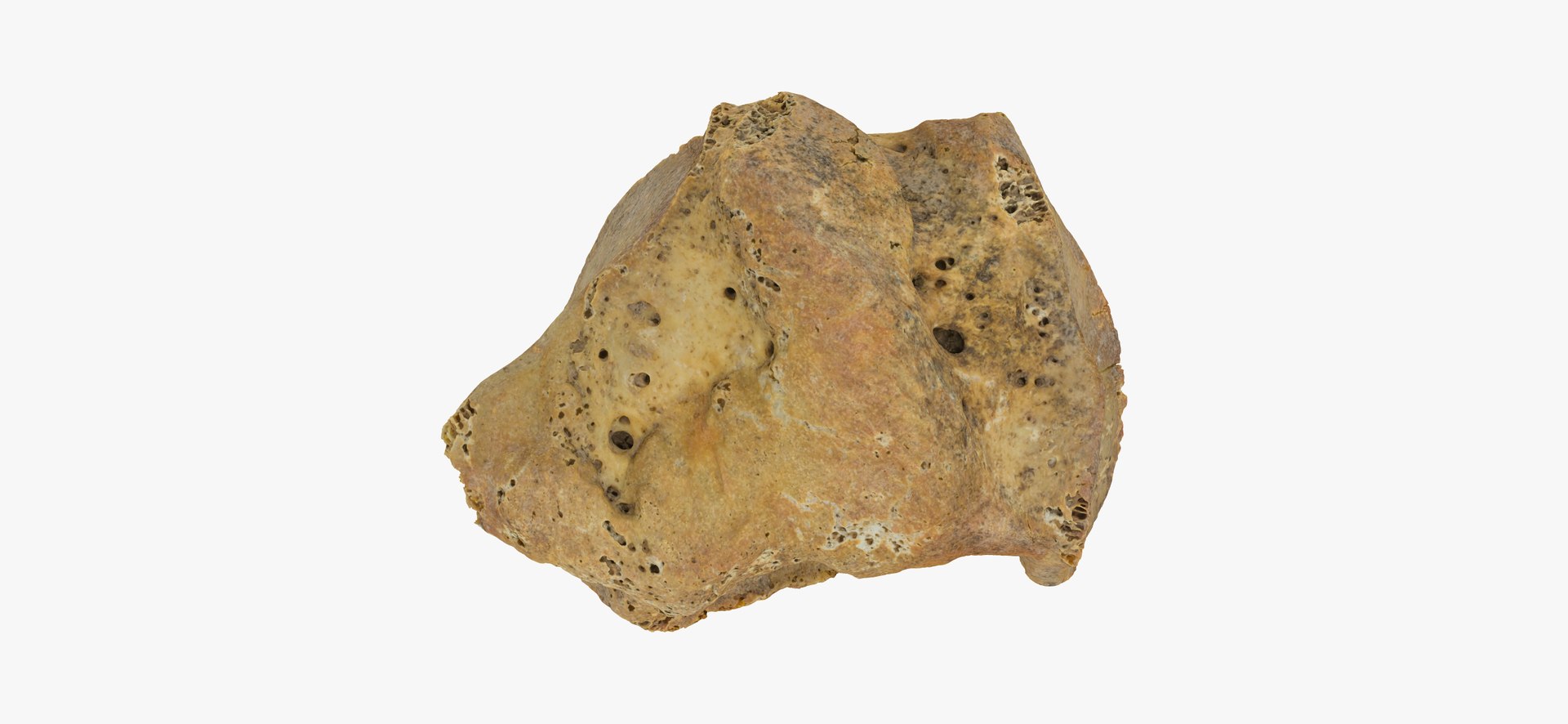 Cuboid Bone 01 Raw Model - TurboSquid 1550264