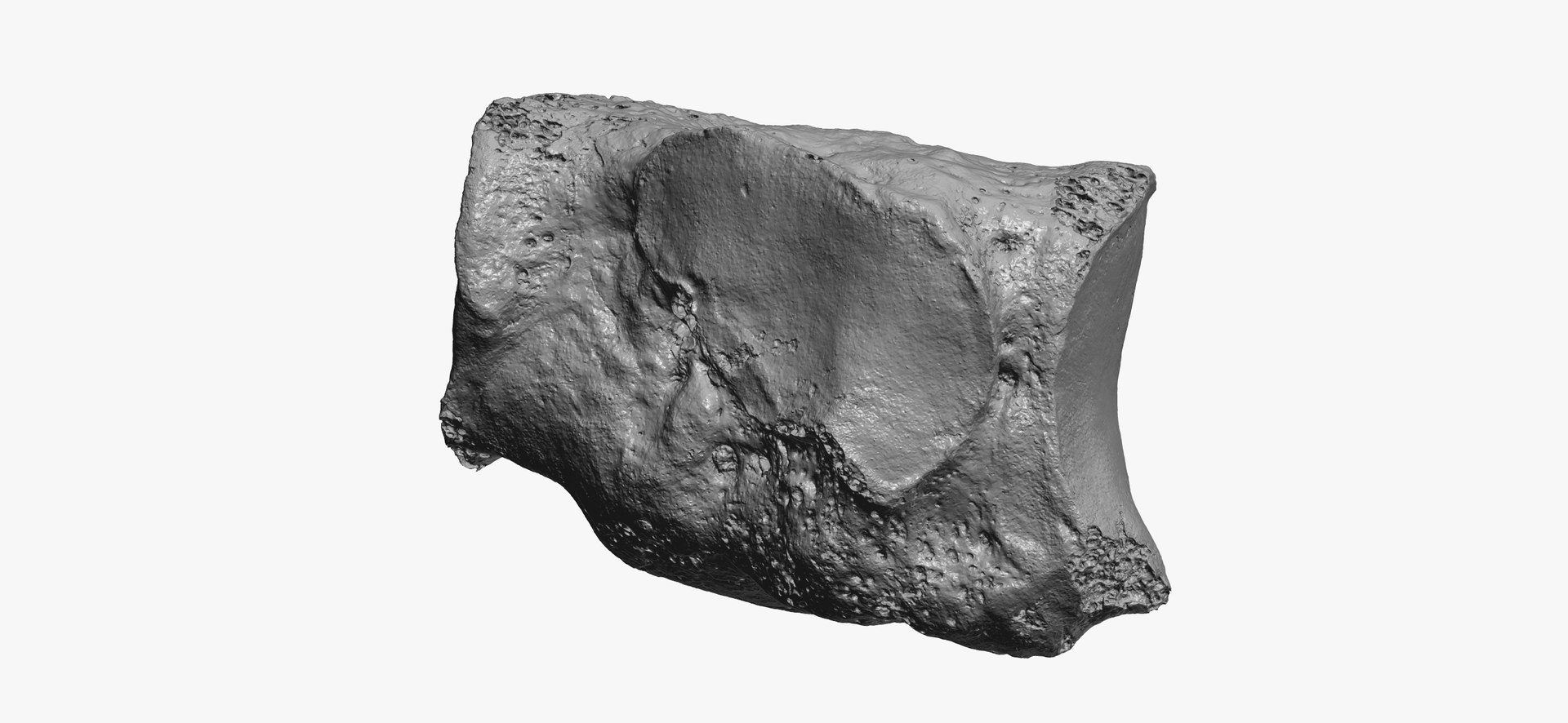 Cuboid Bone 01 Raw Model - TurboSquid 1550264