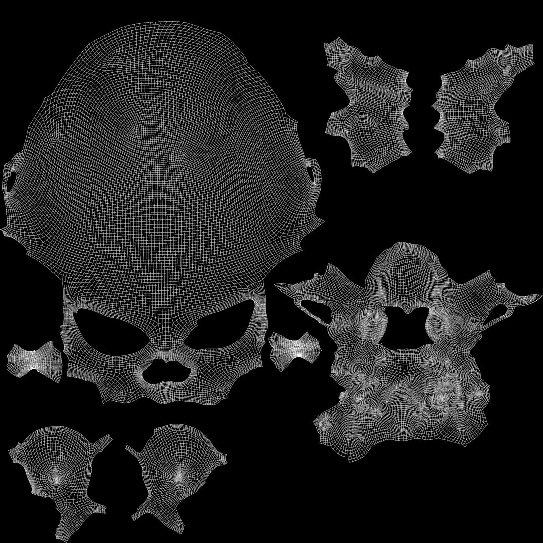 3d real human skull scan model