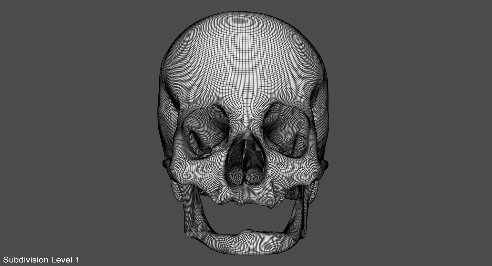 3d real human skull scan model