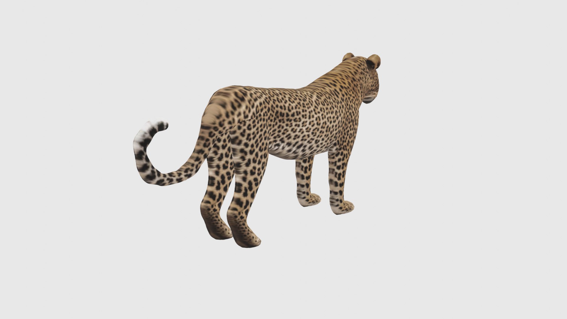 Low Poly Leopard Rigged With Realistic Texture 3D Model - TurboSquid ...