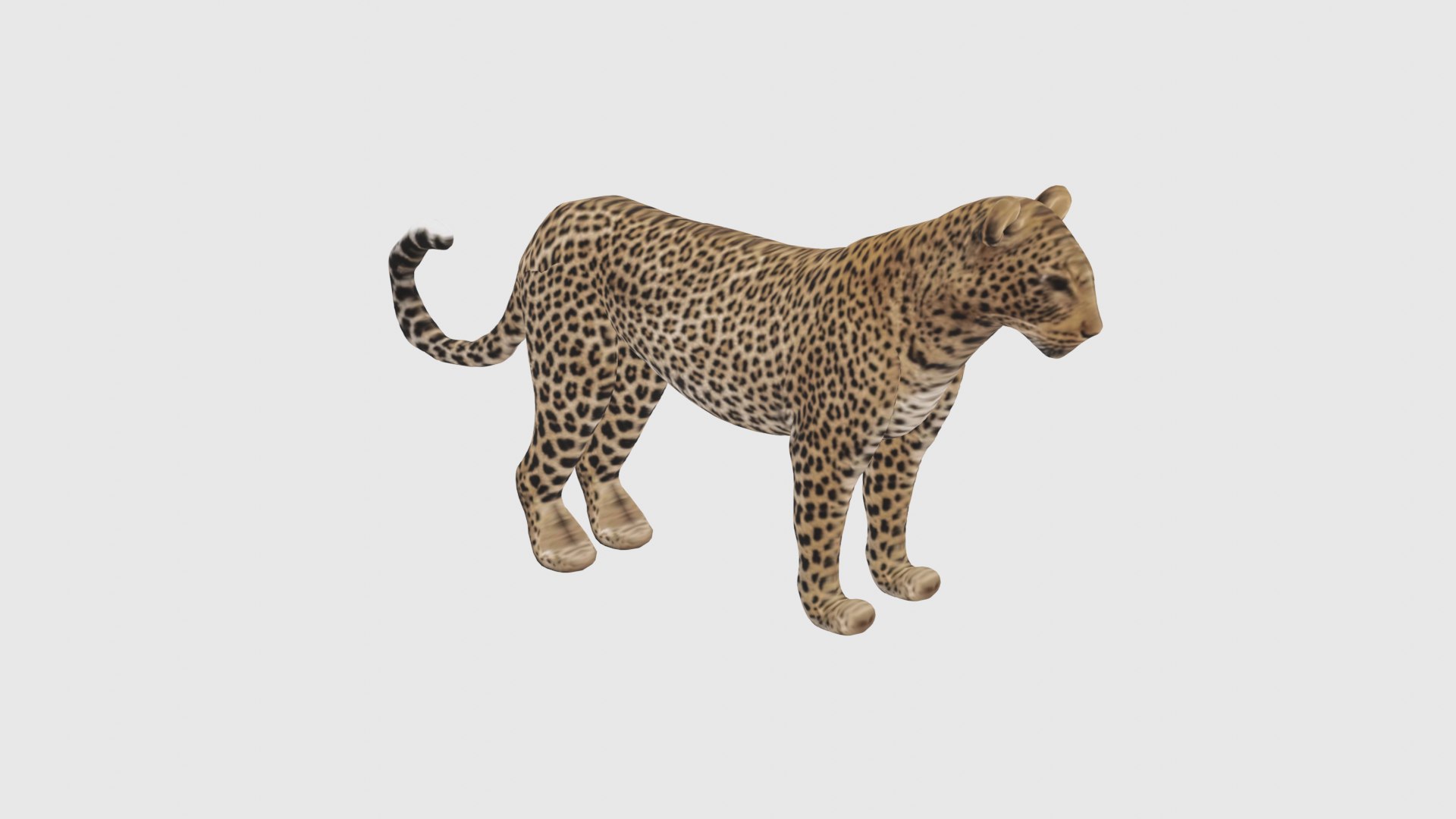Low Poly Leopard Rigged With Realistic Texture 3D Model - TurboSquid ...