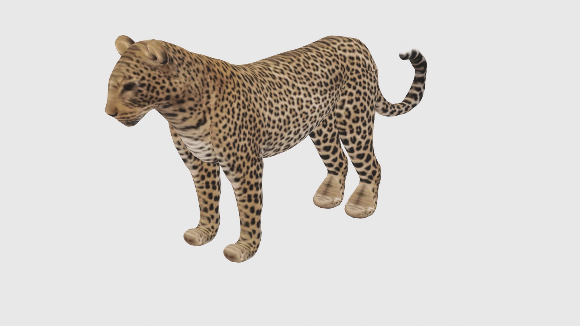 Low Poly Leopard Rigged With Realistic Texture 3D Model - TurboSquid ...