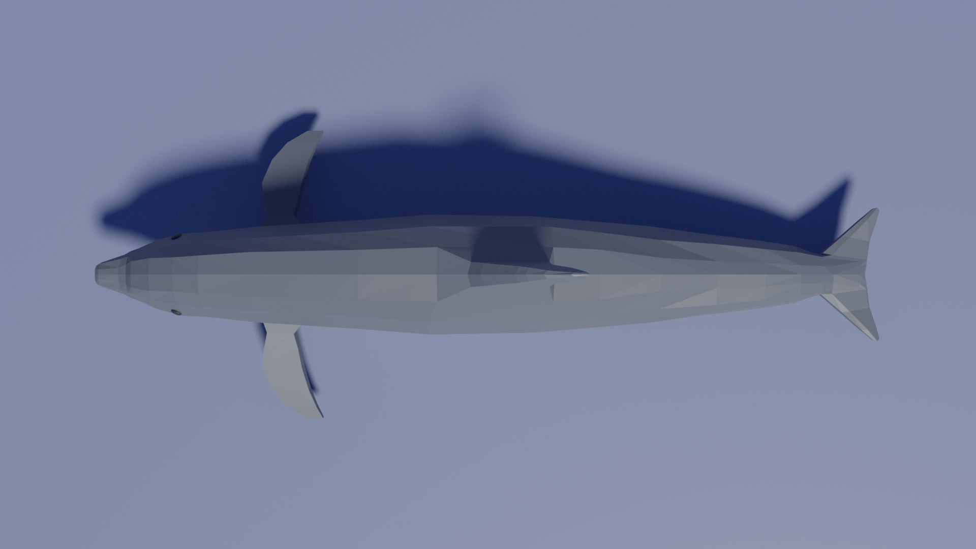 Animal mammal dolphin 3D - TurboSquid 1660423