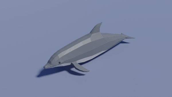Dolphin Blender Models for Download | TurboSquid