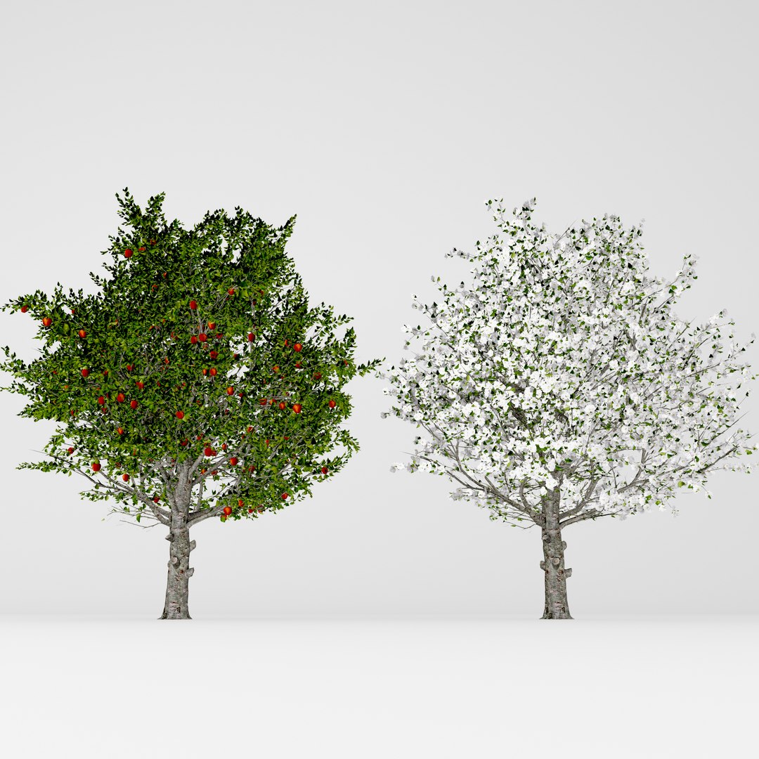 Apple tree 3D model - TurboSquid 1347146