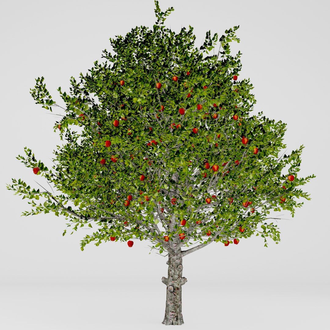 Apple tree 3D model - TurboSquid 1347146