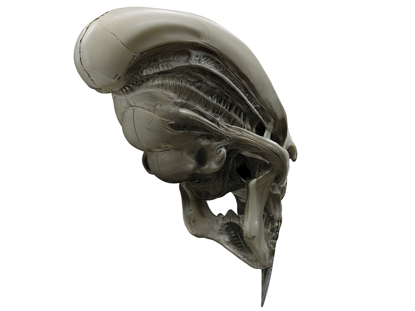 3D Model Predator Skull Pack - TurboSquid 2296987