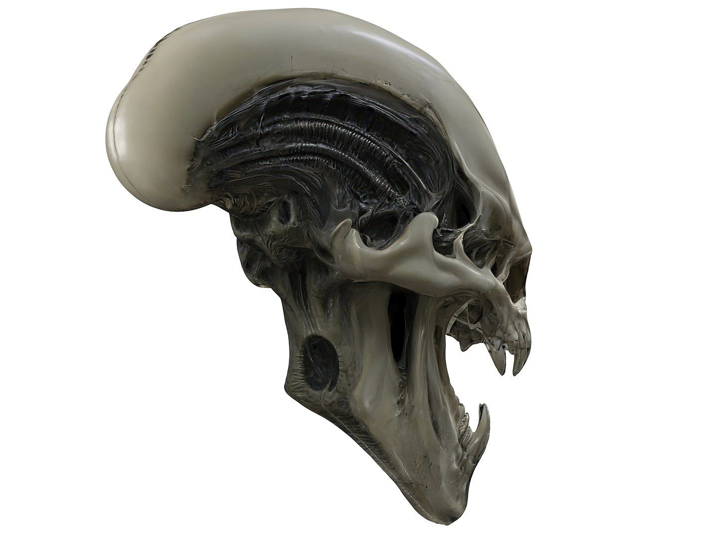 3D Model Predator Skull Pack - TurboSquid 2296987