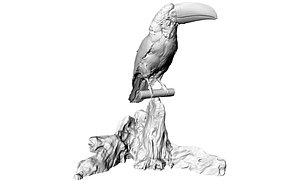 Toucan STL Models for Download | TurboSquid