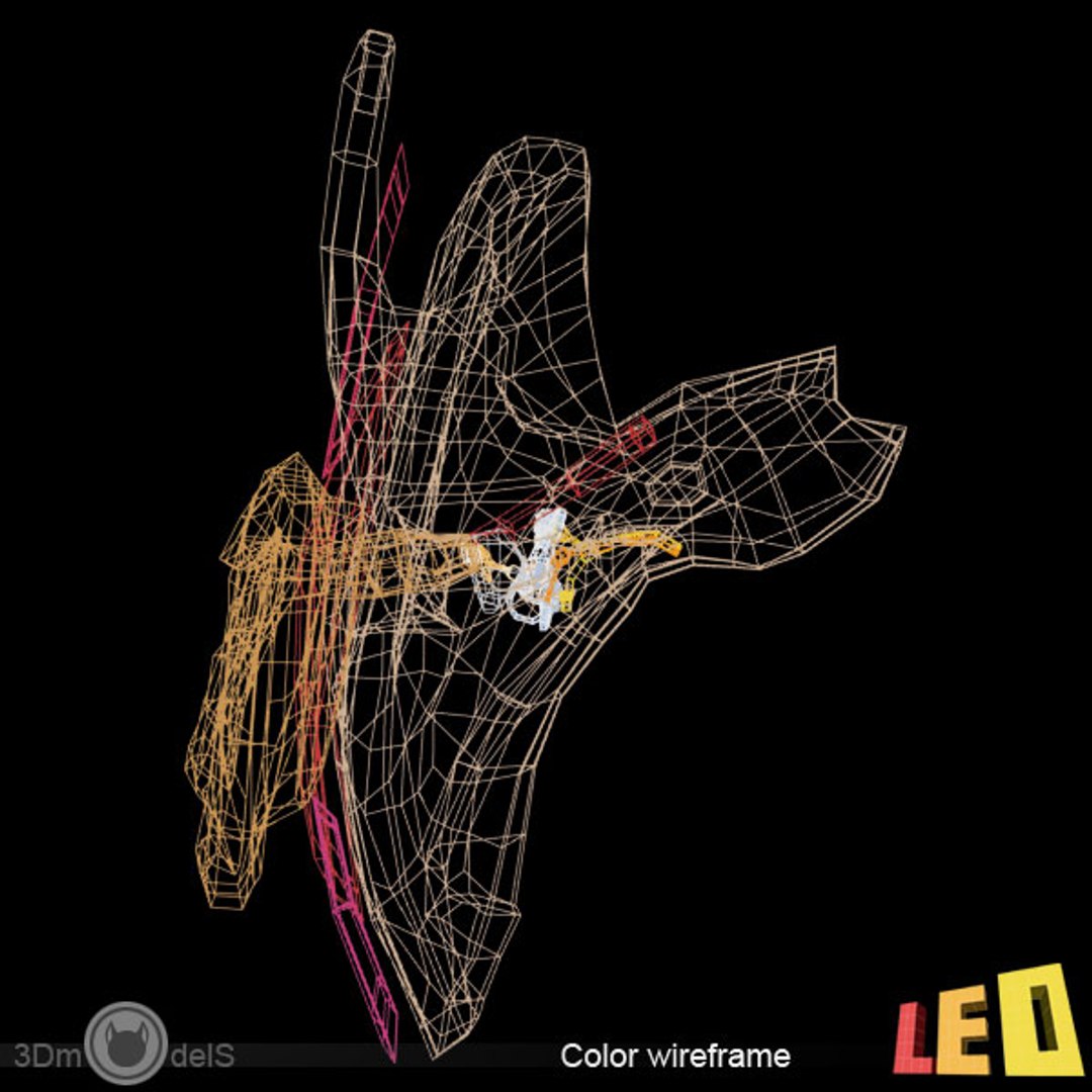 3d Model Muscles Ear Anatomy