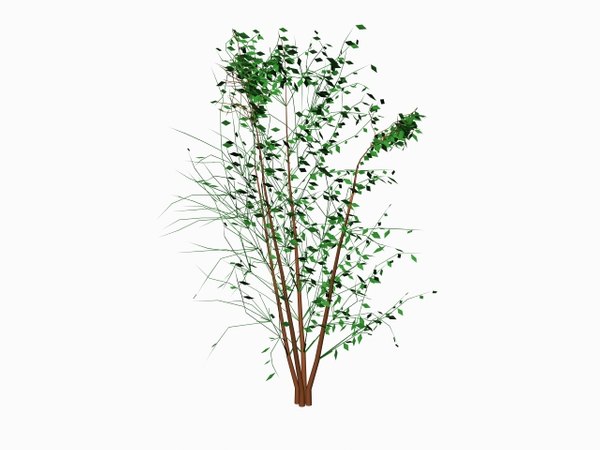 Low Poly Willow Tree 3D Models for Download | TurboSquid
