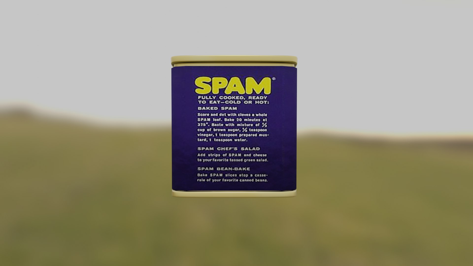 Free Can Of Spam 3D Model - TurboSquid 1909712