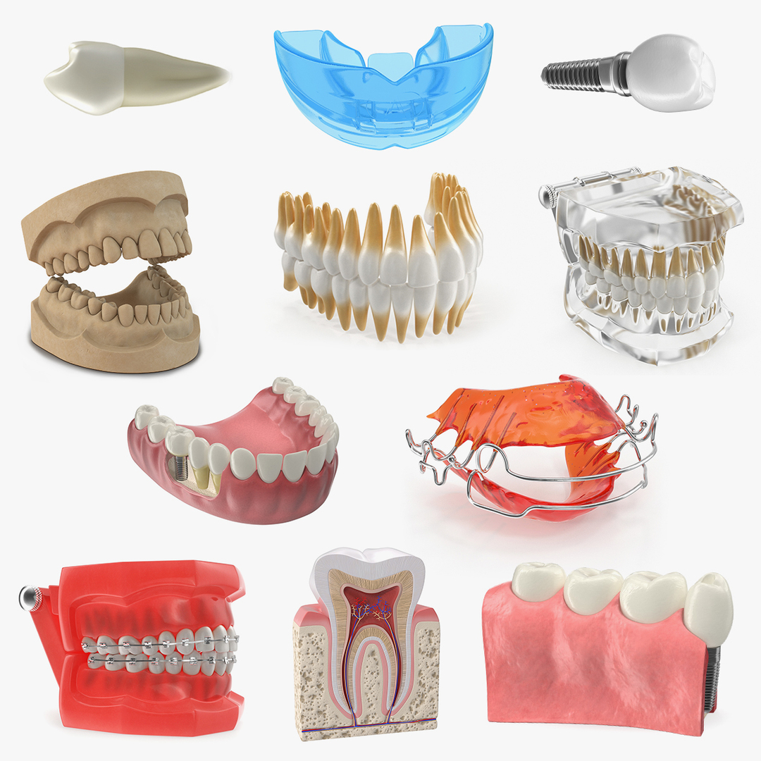 Dental 4 3D model - TurboSquid 1438394