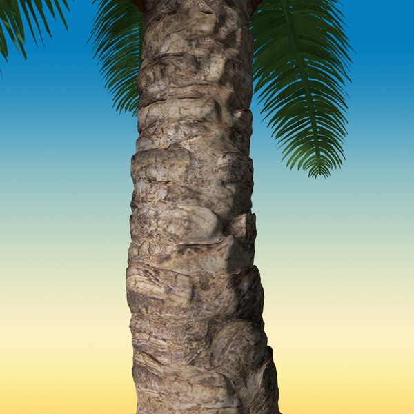3d model palm tree
